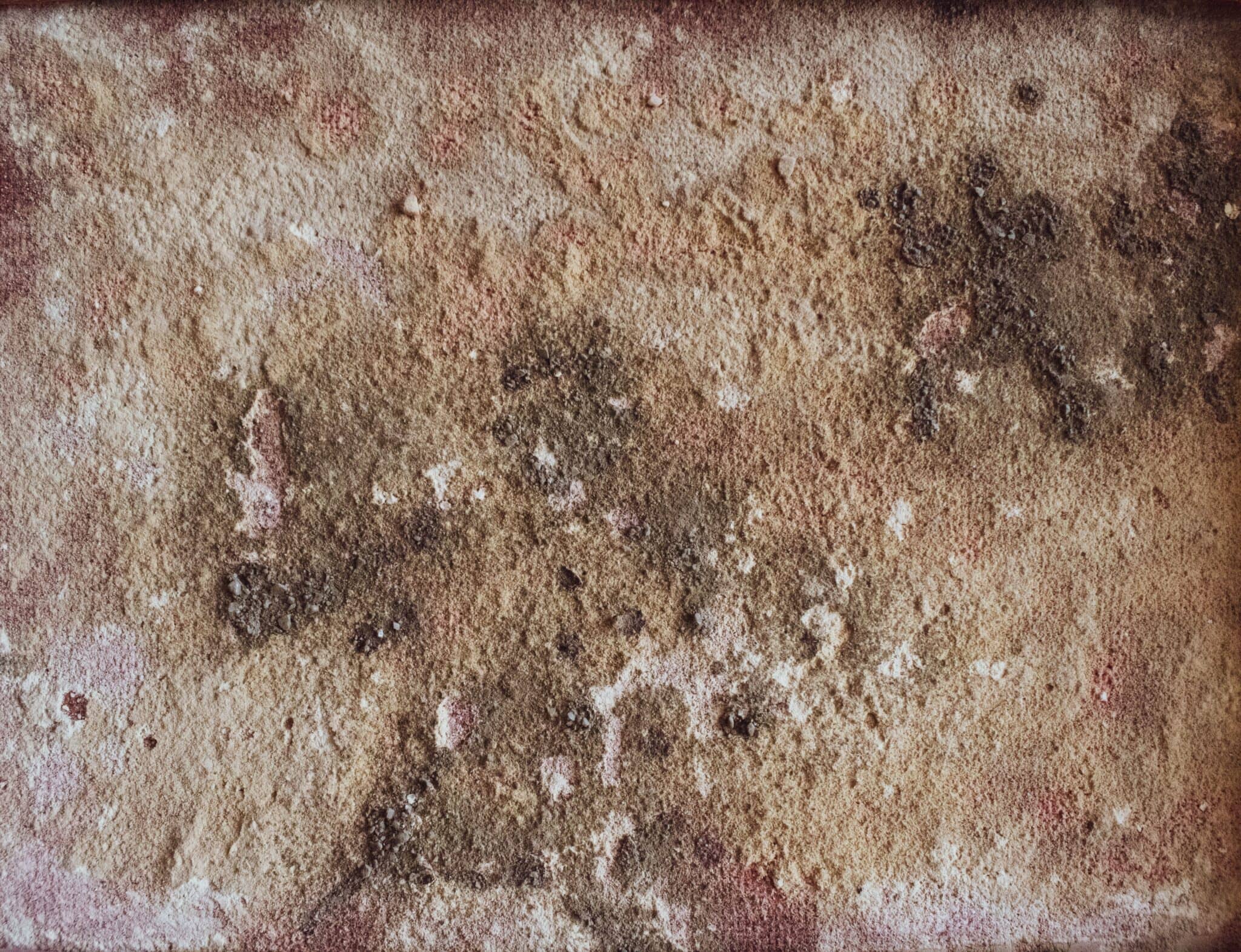 6 Mold Growth Prevention Tips You Need to Know